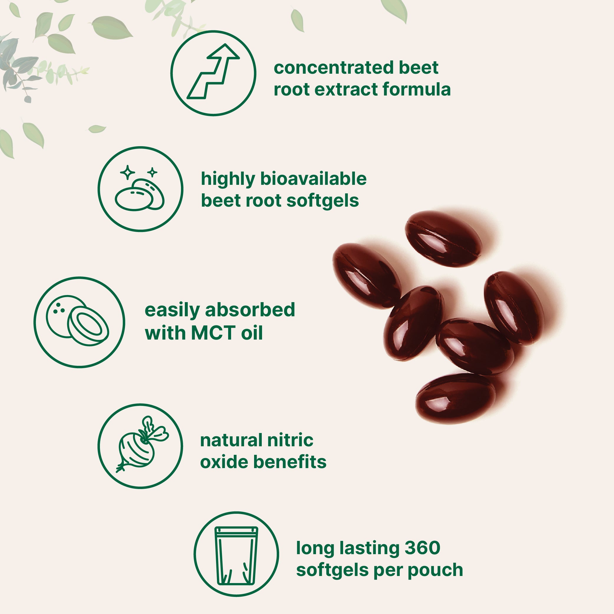 Micro Ingredients Beet Root 360 Softgels with MCT Oil, Highly Bioavail