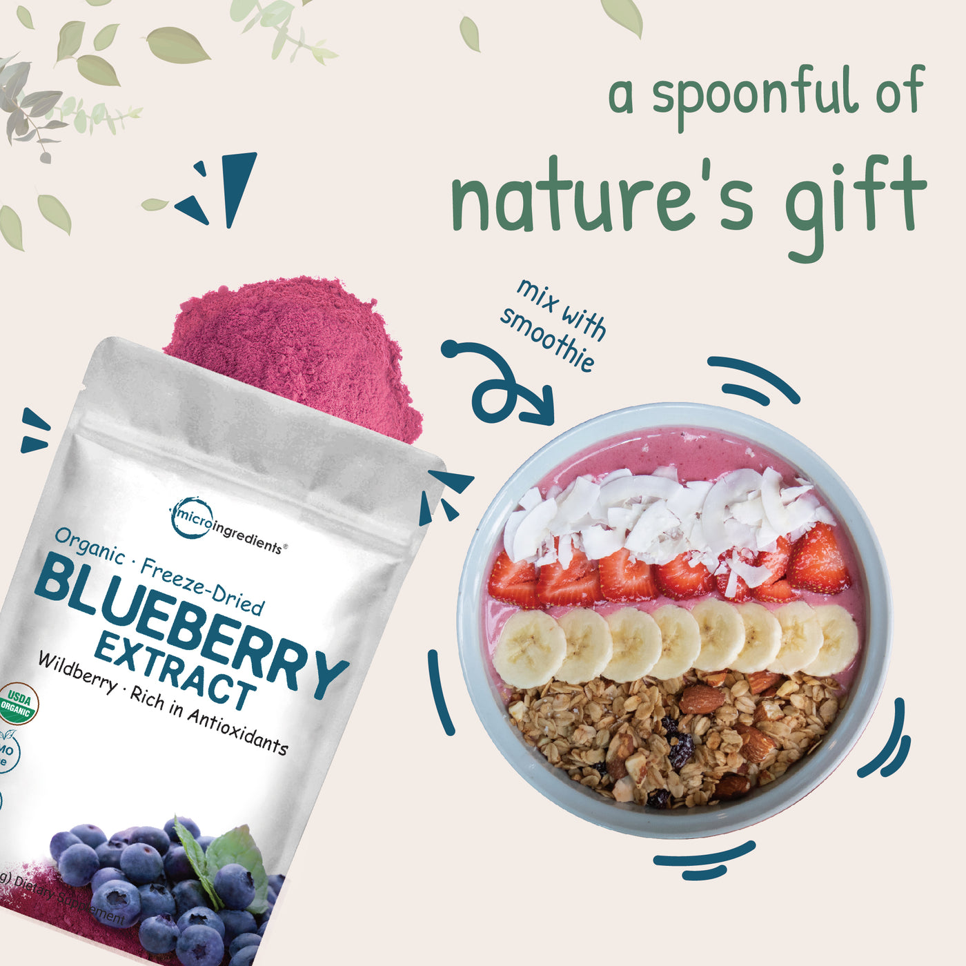 Organic Blueberry Powder - Premium Freeze Dried – Micro Ingredients