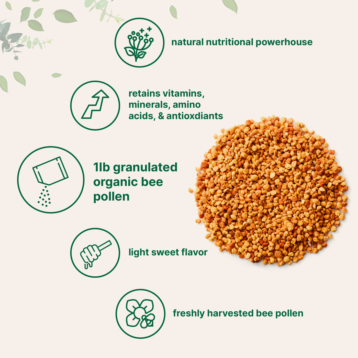 Organic Bee Pollen Granules- Best Natural Supplement for Weight Loss ...